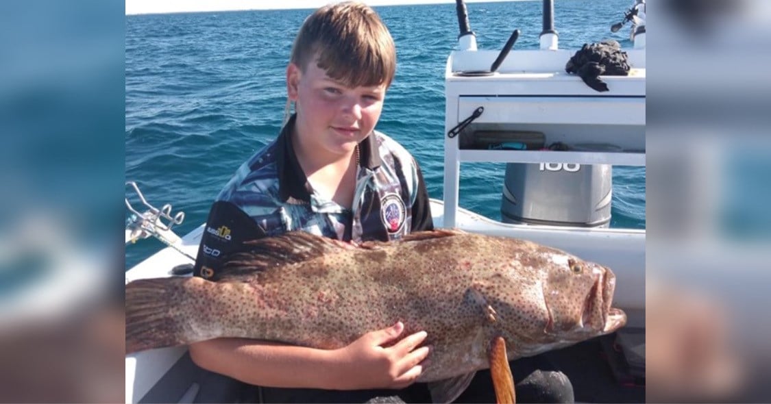 Good fish numbers at inshore reefs – Bundaberg Now