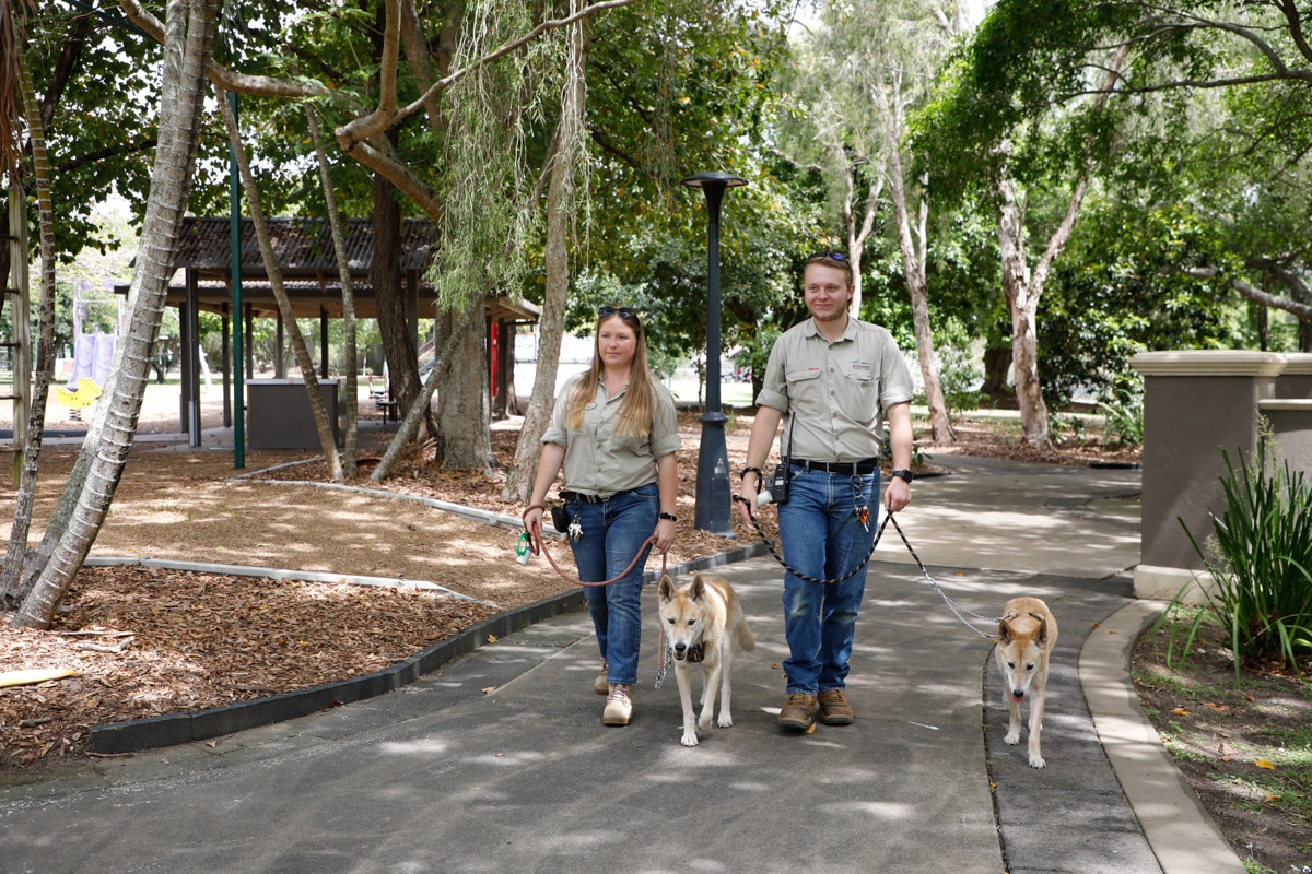 How to: apply to be a zoo volunteer – Bundaberg Now