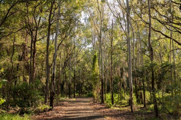 History of Pasturage Reserve – Bundaberg Now