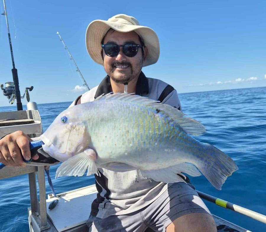 Burnett River producing top quality fish – Bundaberg Now