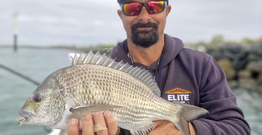 Mammoth bream caught at annual Big Bream Shootout – Bundaberg Now